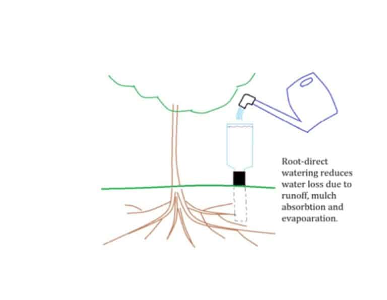 Ten ways to make water go further ⋆ Biodynamic Agriculture Australia Ltd