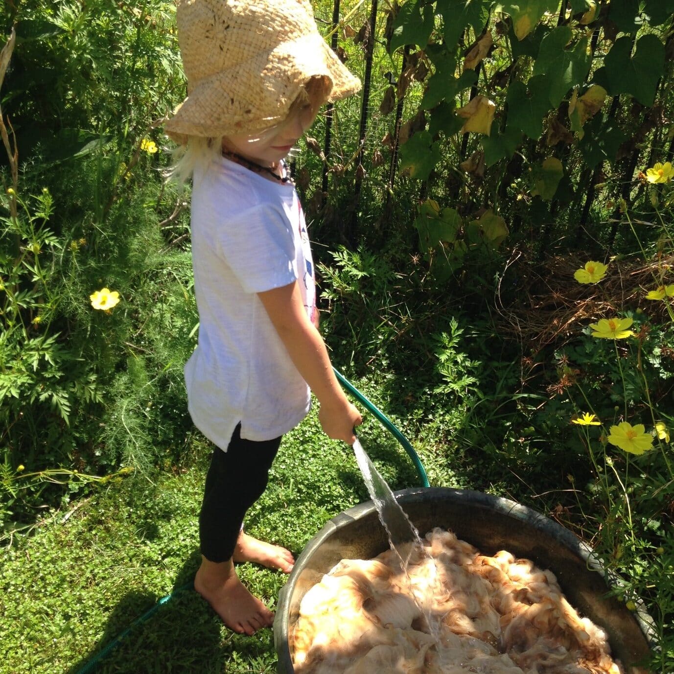 Biodynamic Gardening with Children from ‘Birth to Seven Years ⋆ ...