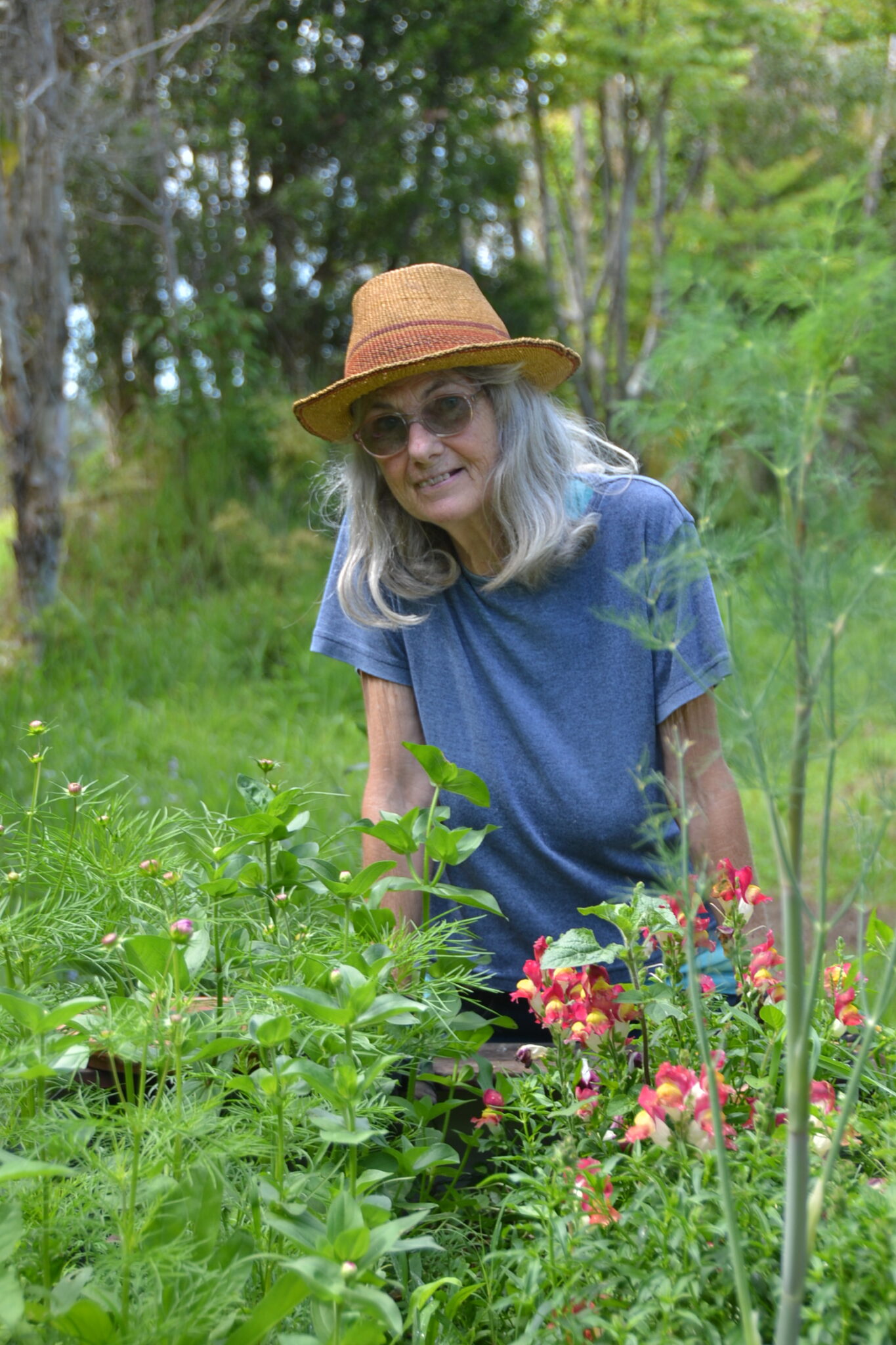 A biodynamic inspired journey ⋆ Biodynamic Agriculture Australia Ltd
