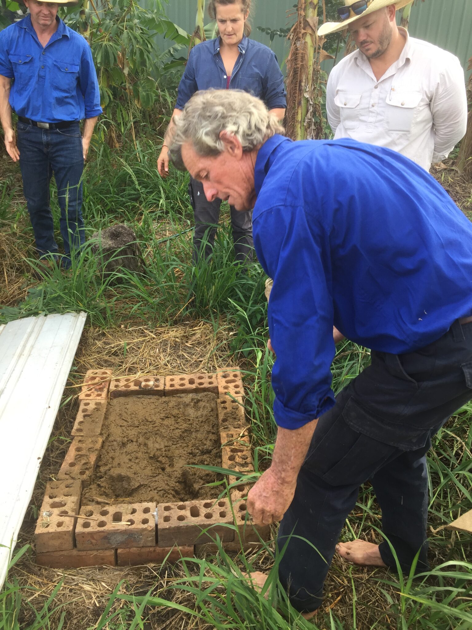 Releasing the sacred biodynamic cow into syntropic agroforestry ⋆ ...