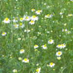 Shop Our Range ⋆ Biodynamic Agriculture Australia Ltd